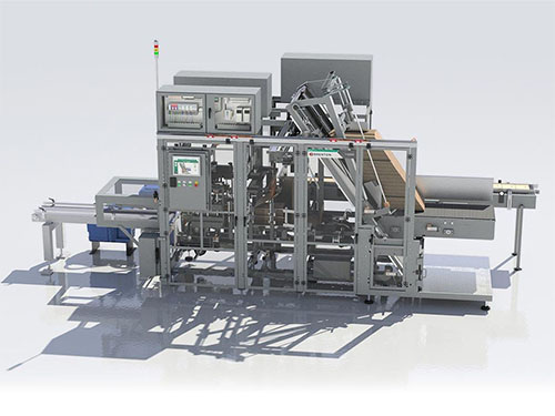 Case Packers & Case Packing Machines - Case Packing Equipment | Brenton